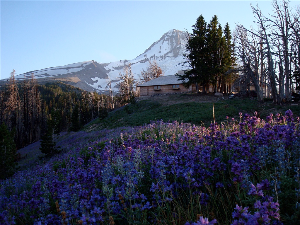 Our Mount Hood Gallery - from Cooper Spur Mountain Resort