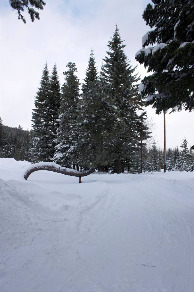 Our Mount Hood Gallery - from Cooper Spur Mountain Resort