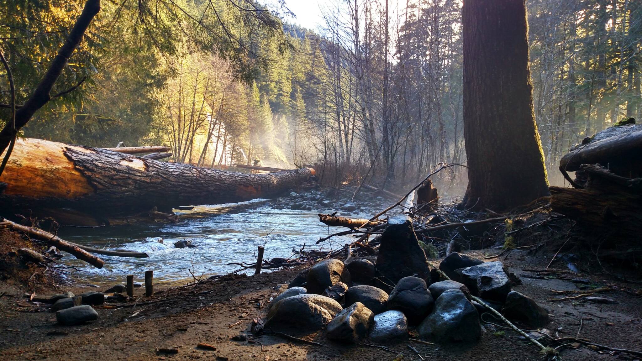 Our Mount Hood Gallery - from Cooper Spur Mountain Resort