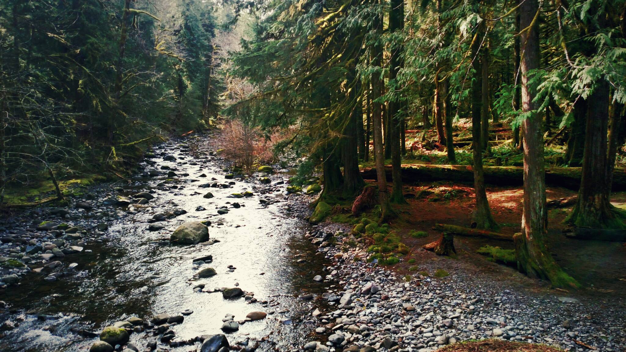 Our Mount Hood Gallery - from Cooper Spur Mountain Resort