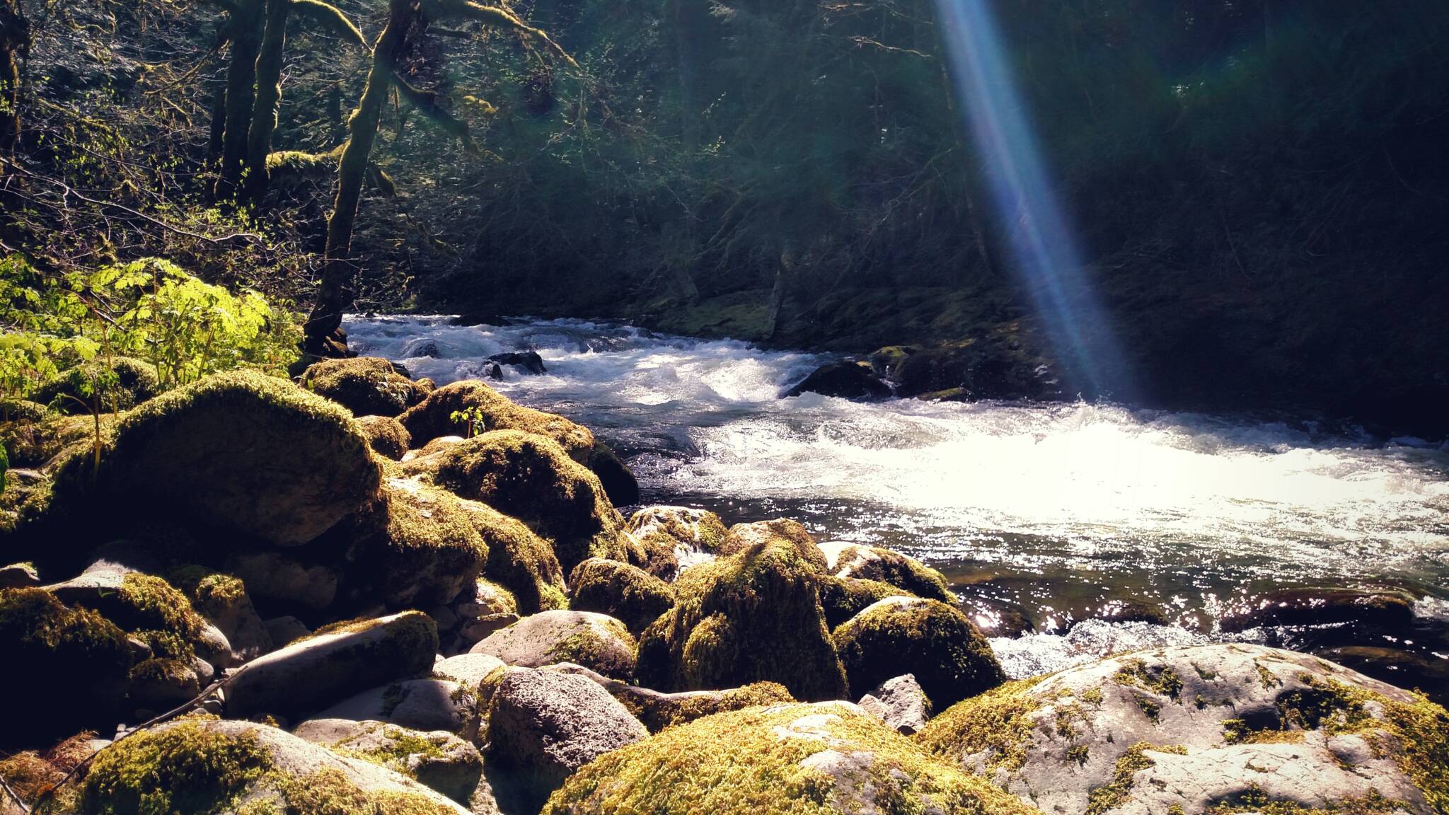 Our Mount Hood Gallery - from Cooper Spur Mountain Resort
